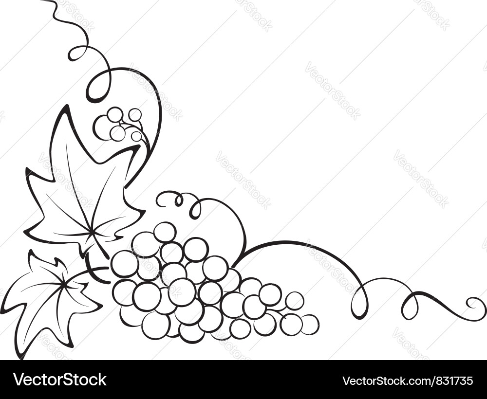 Design element - grapevine Royalty Free Vector Image