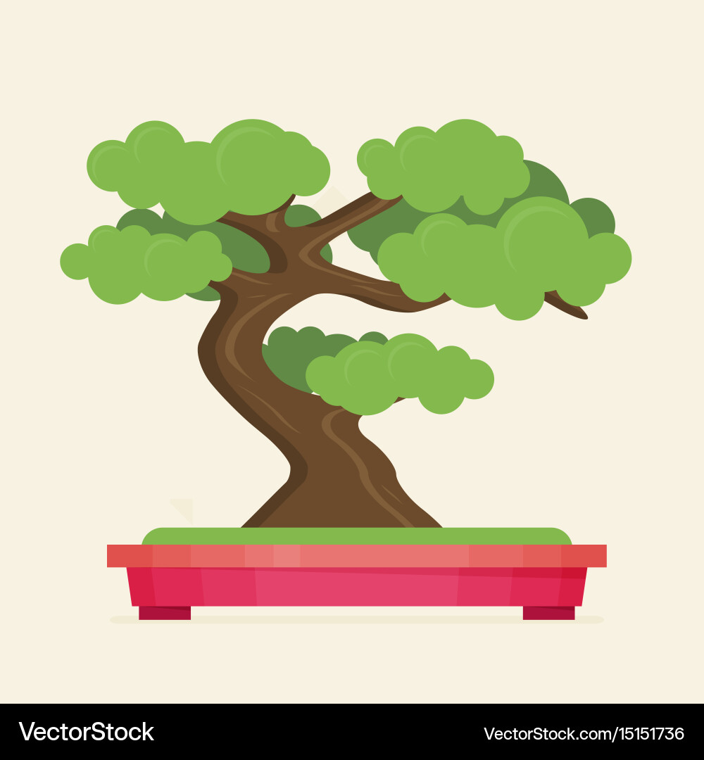Bonsai tree Royalty Free Vector Image - VectorStock