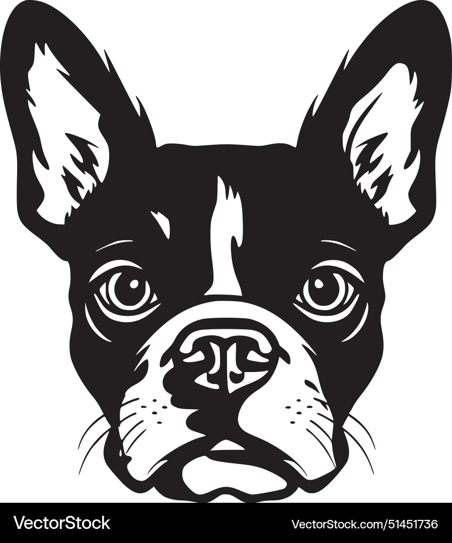 Boston terrier - high quality logo ideal Vector Image