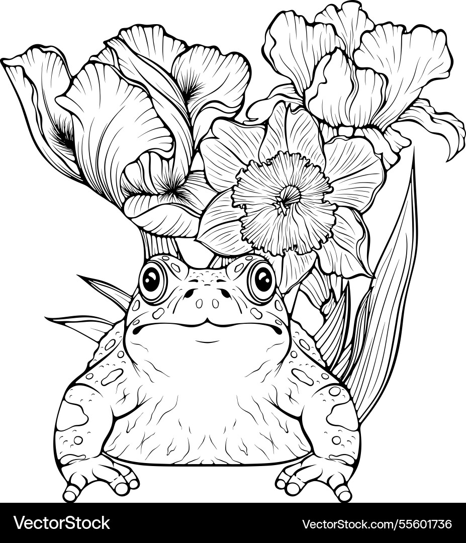 Frog with spring flowers line art Royalty Free Vector Image