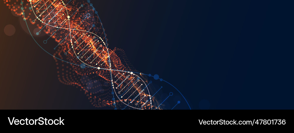 Science template abstract background with a dna Vector Image