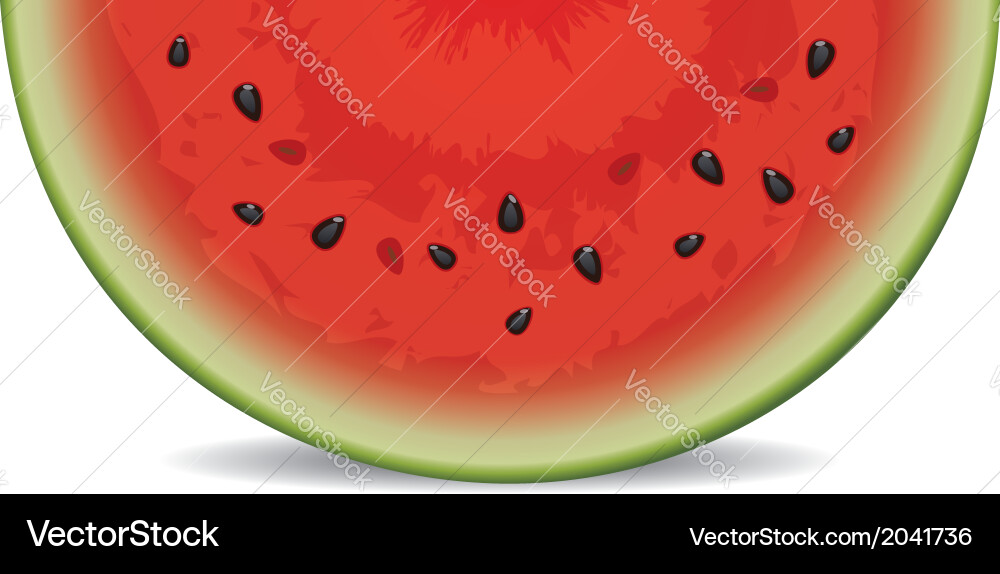 Watermelon slice Royalty Free Vector Image - VectorStock