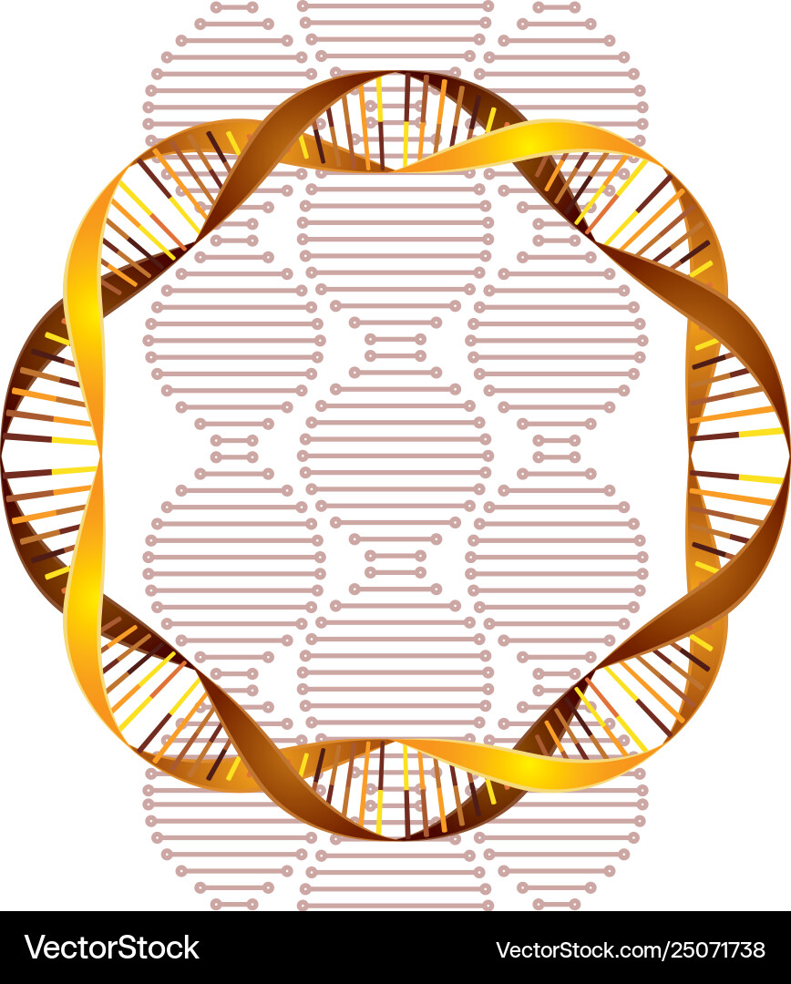 Circular DNA Chain Science Icon Royalty Free Vector Image