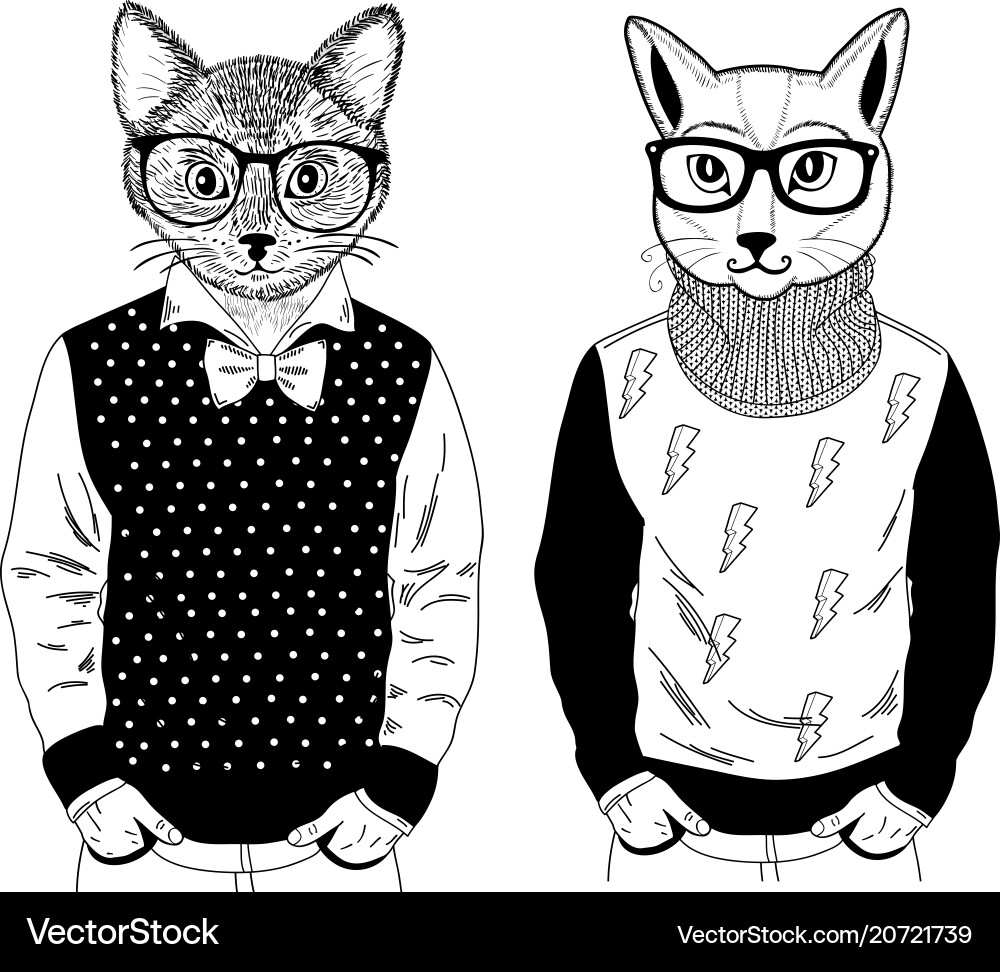 Charming Cat Models Royalty Free Vector Image - VectorStock