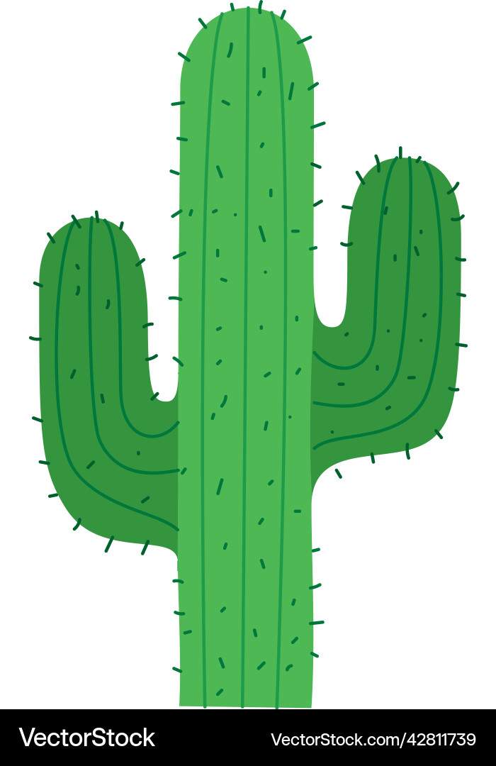 Green cactus Royalty Free Vector Image - VectorStock