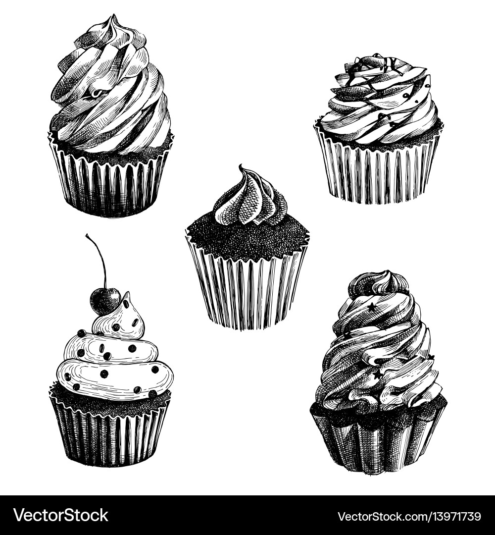 Hand Drawn Cupcake Set Royalty Free Vector Image