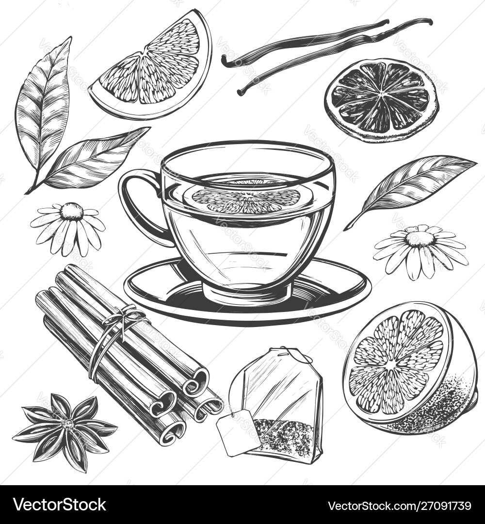 Tea set isolated on white background hand drawn Vector Image
