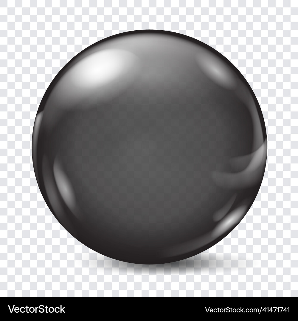 Transparent black sphere Royalty Free Vector Image