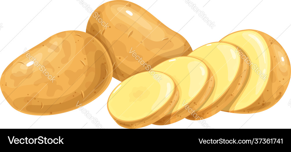 Whole root crops and sliced pieces potato Vector Image