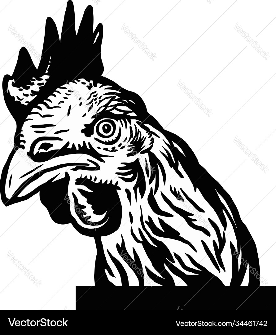 Curious chicken sketch design Royalty Free Vector Image