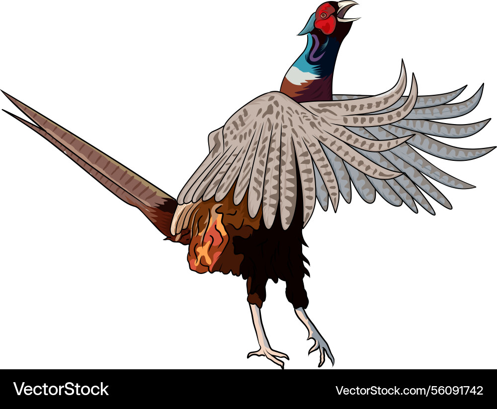 Pheasant hunting logo image t Royalty Free Vector Image