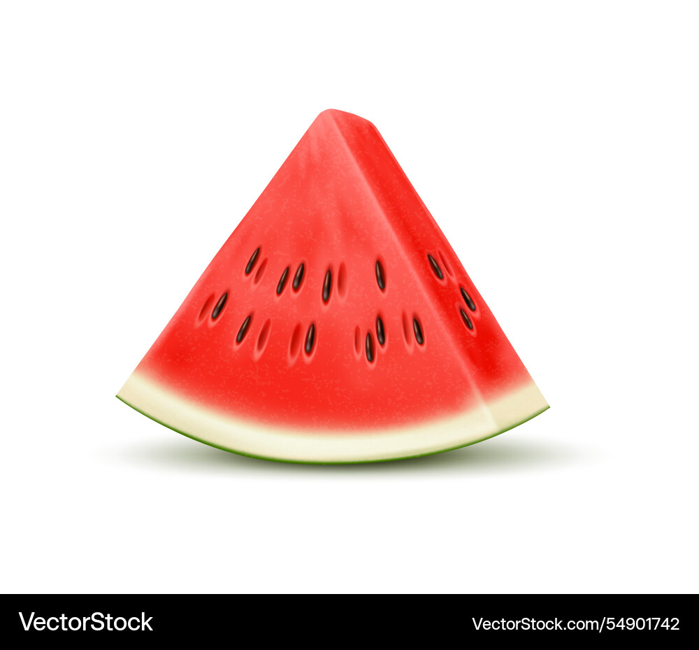 Realistic juicy and raw watermelon fruit slice Vector Image