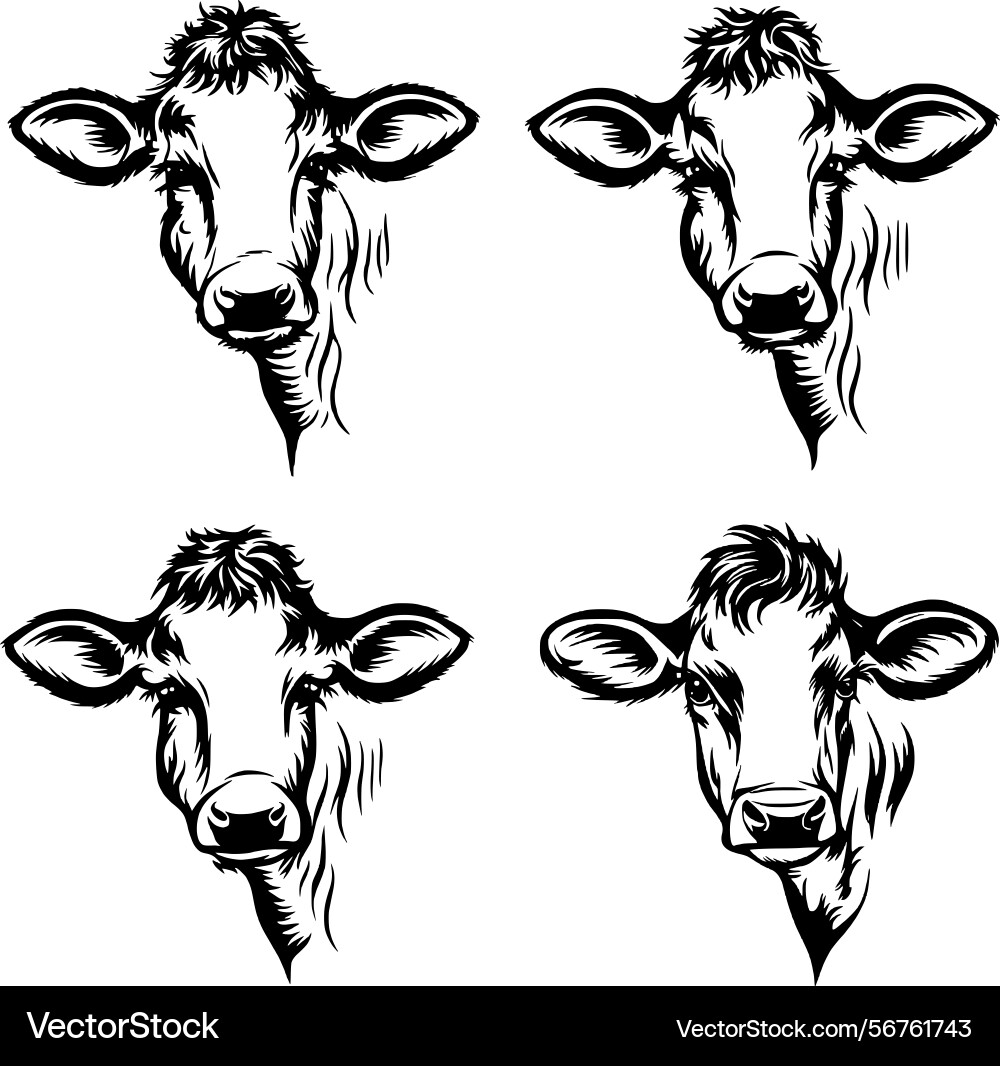 Cow head face farm heifer Royalty Free Vector Image
