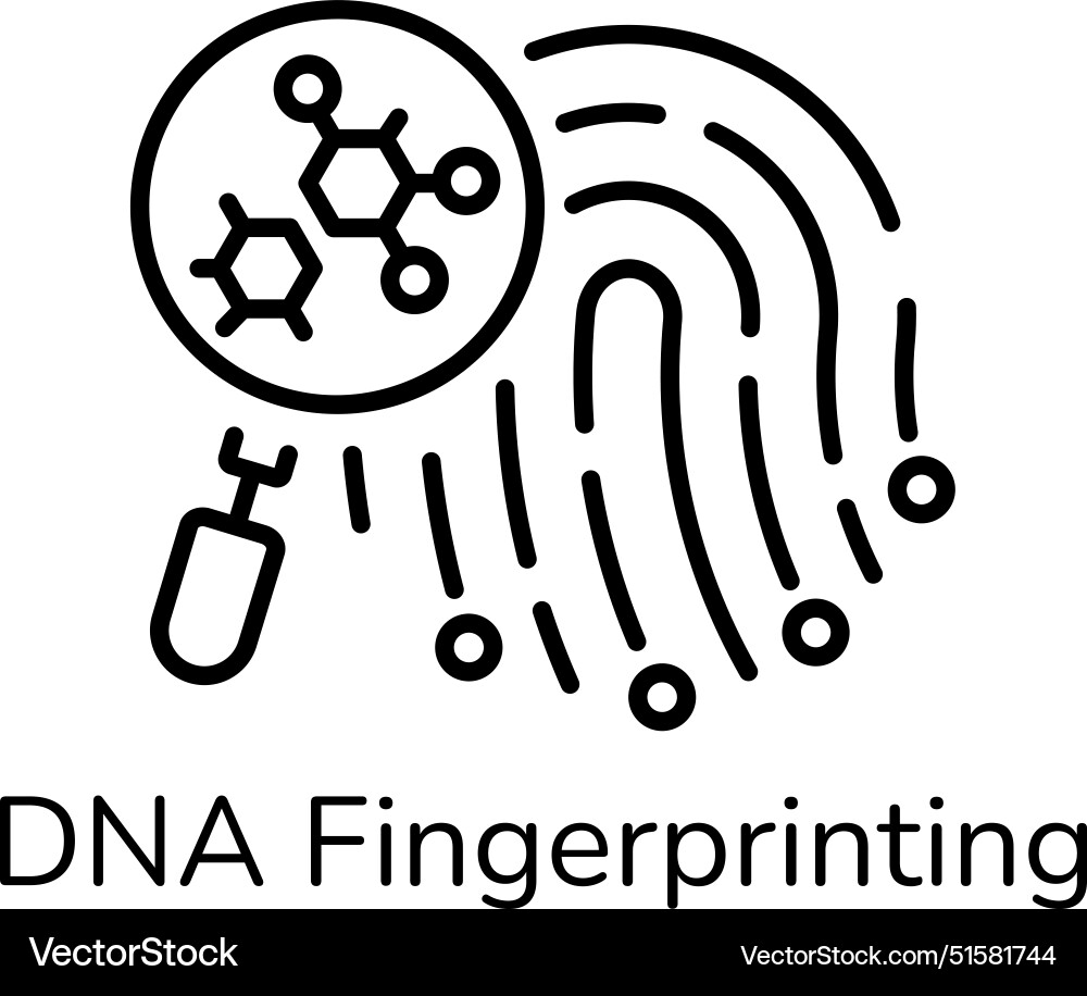 Dna fingerprinting Royalty Free Vector Image - VectorStock