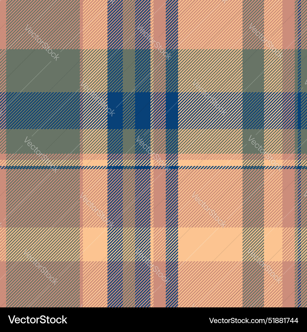 Stripe textile check background london pattern Vector Image