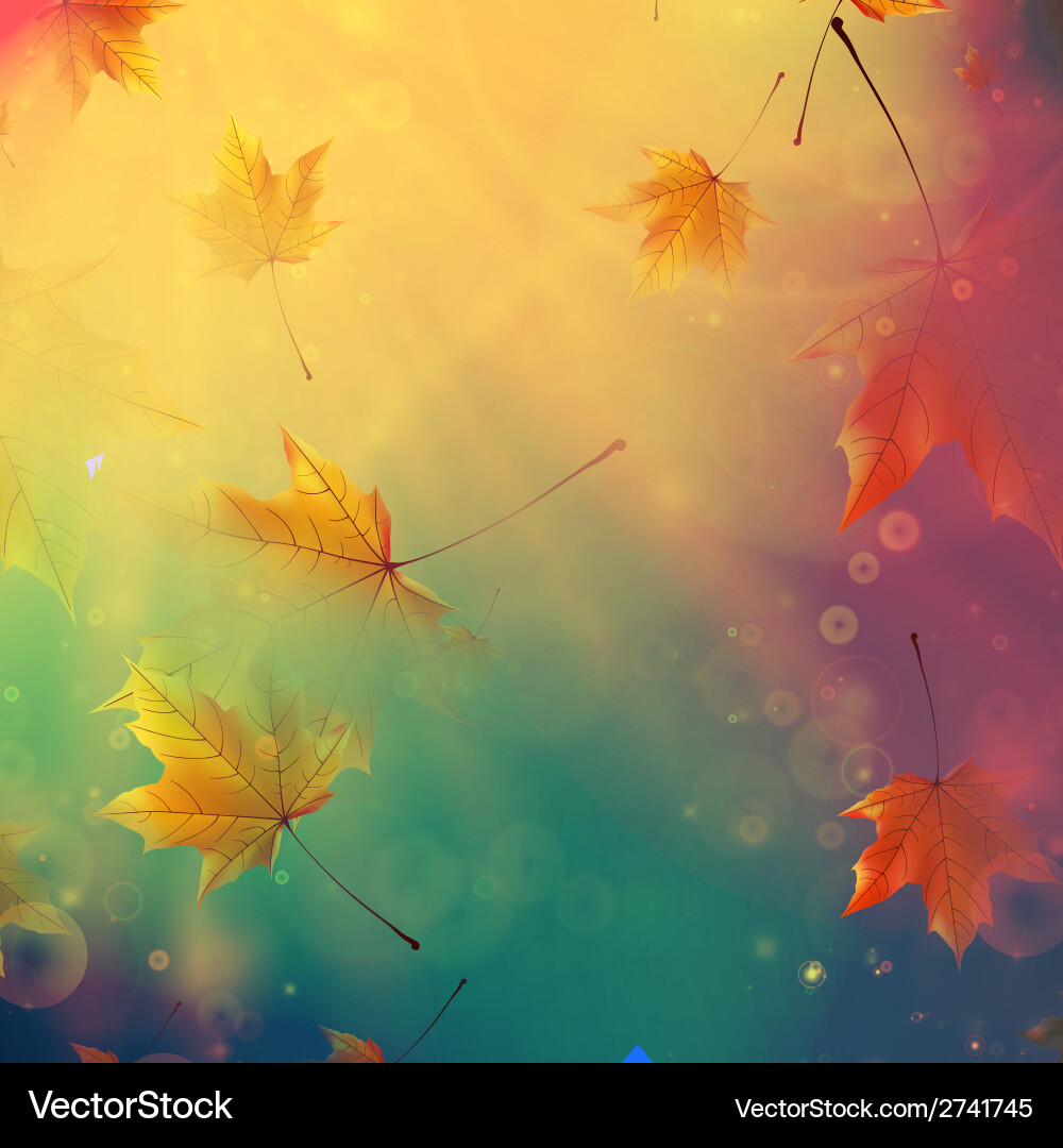 Autumn Leaves Sunset Royalty Free Vector Image