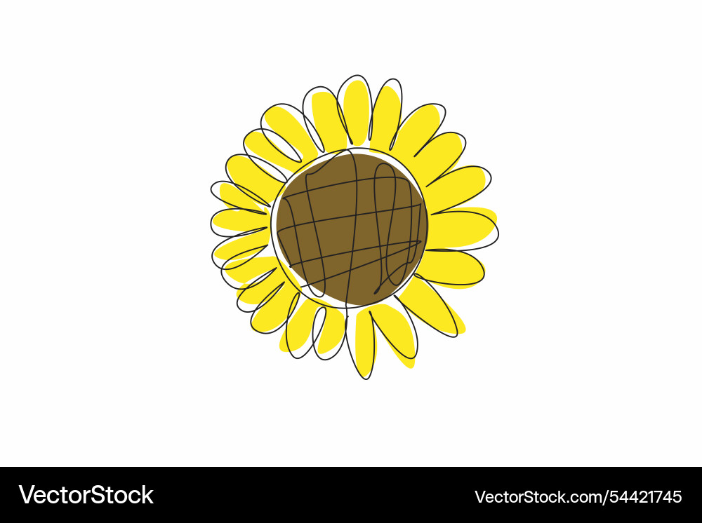 Continuous one line drawing sunflower seen close Vector Image