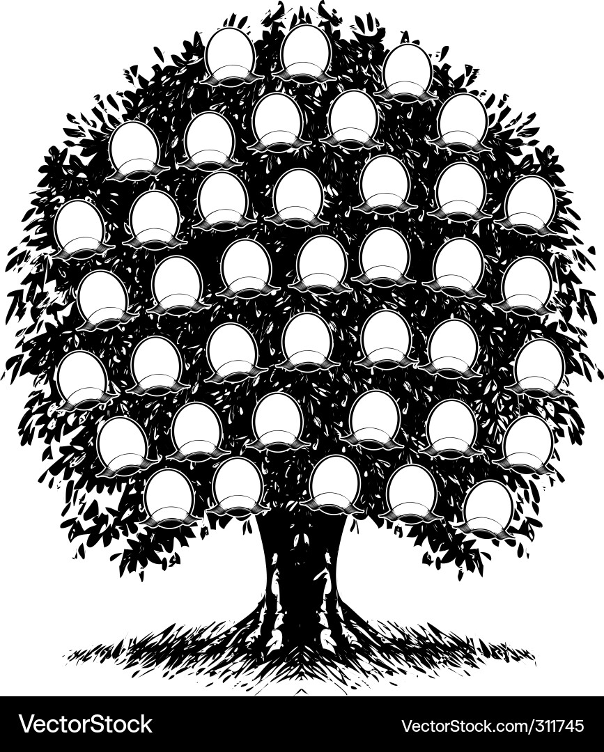 Family tree portraits Royalty Free Vector Image