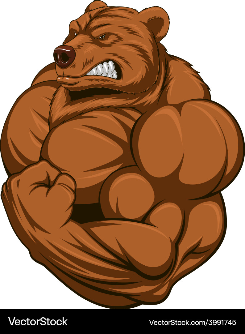 Strong bear Royalty Free Vector Image - VectorStock