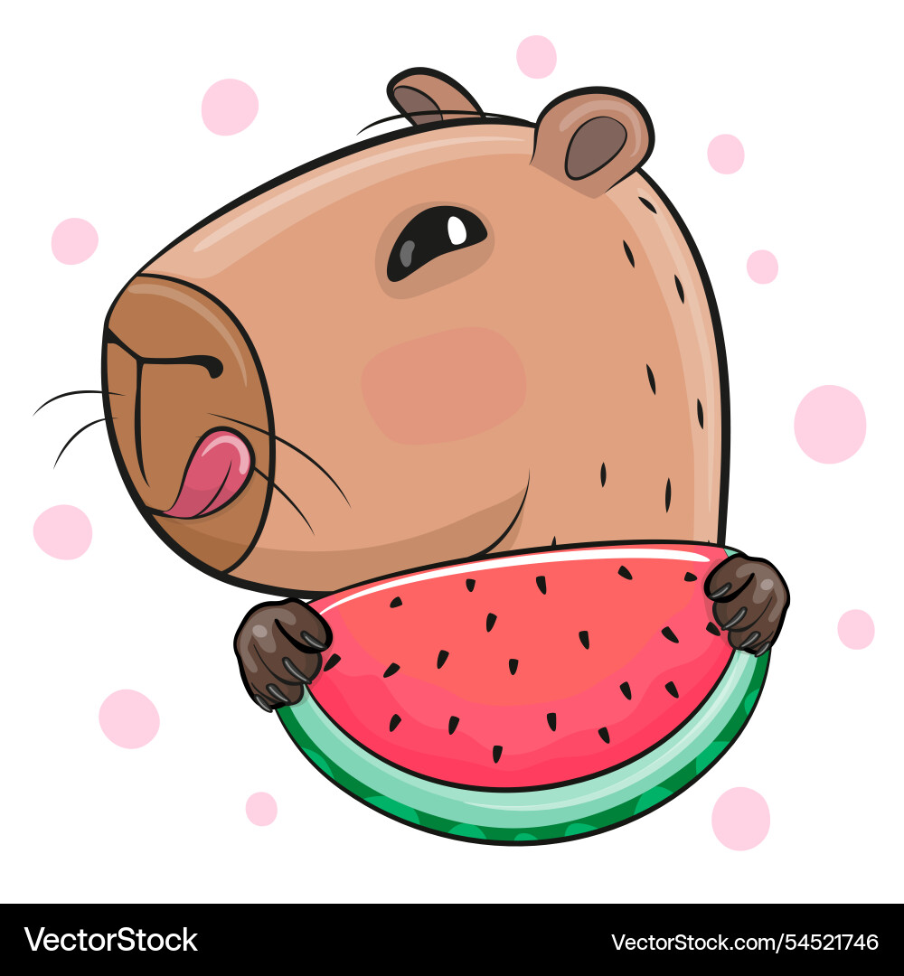 Cartoon capybara with watermelon on a white Vector Image