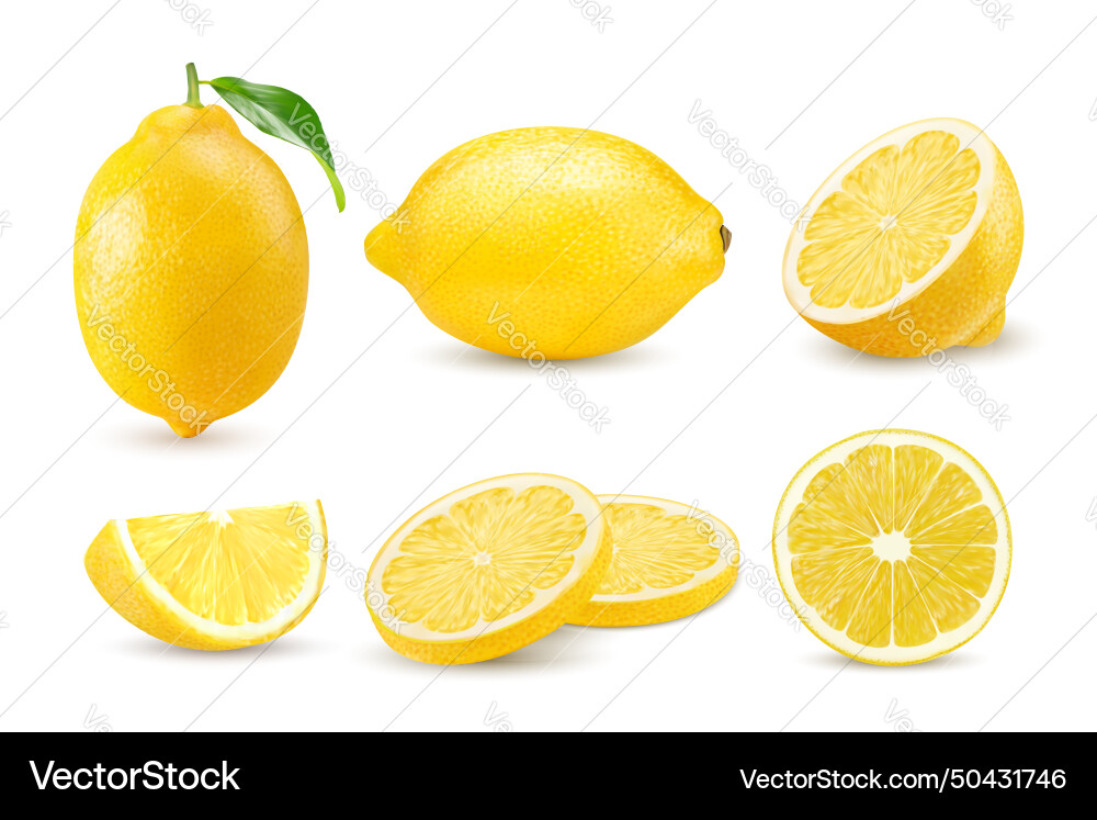 Realistic yellow lemon whole citrus fruit slice Vector Image