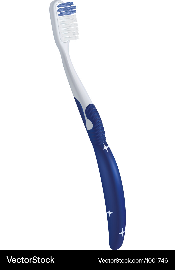 Toothbrush Royalty Free Vector Image - VectorStock