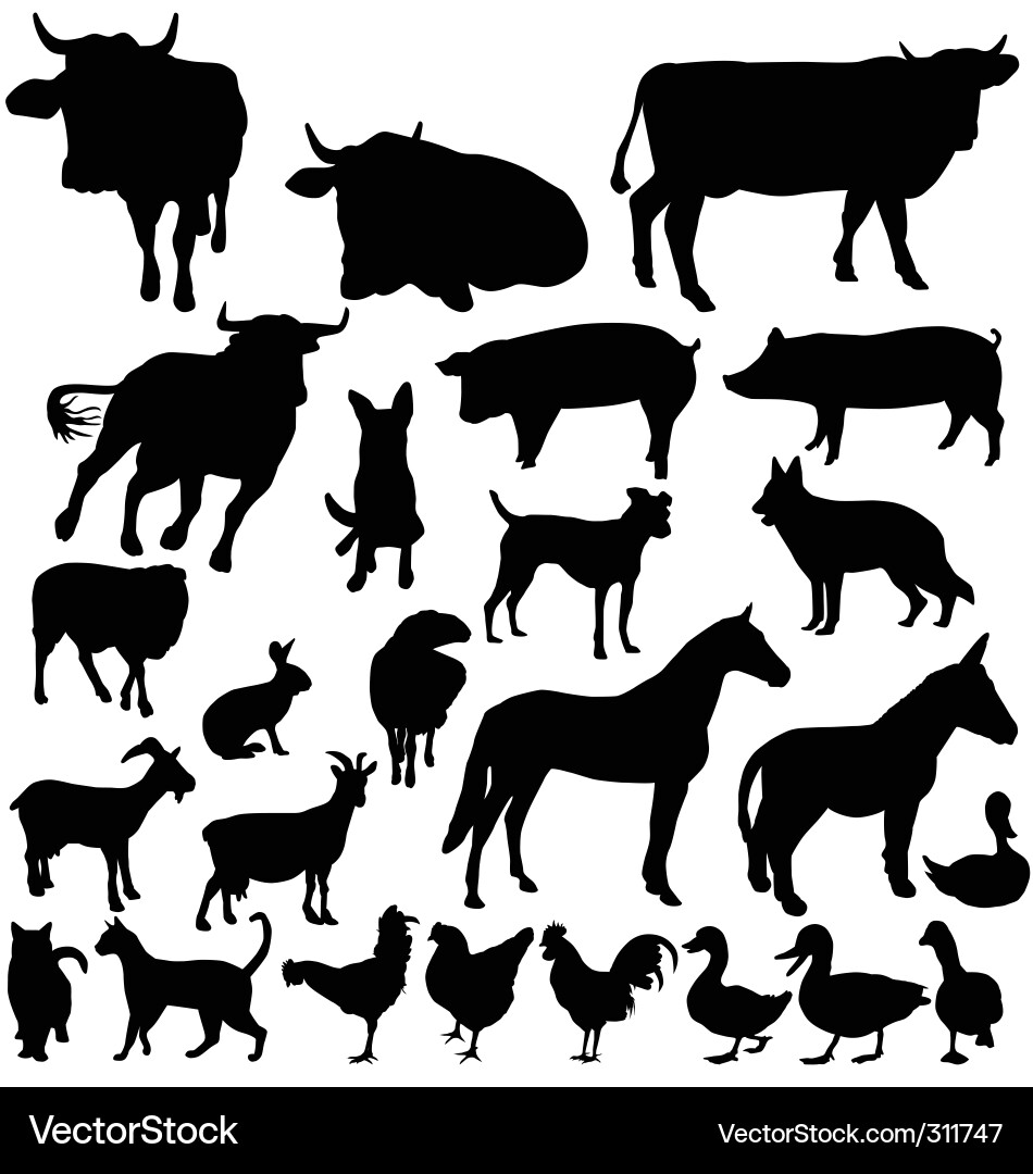 Farm animals Royalty Free Vector Image - VectorStock