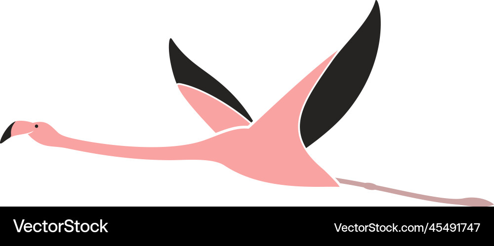 Flamingo Royalty Free Vector Image - VectorStock