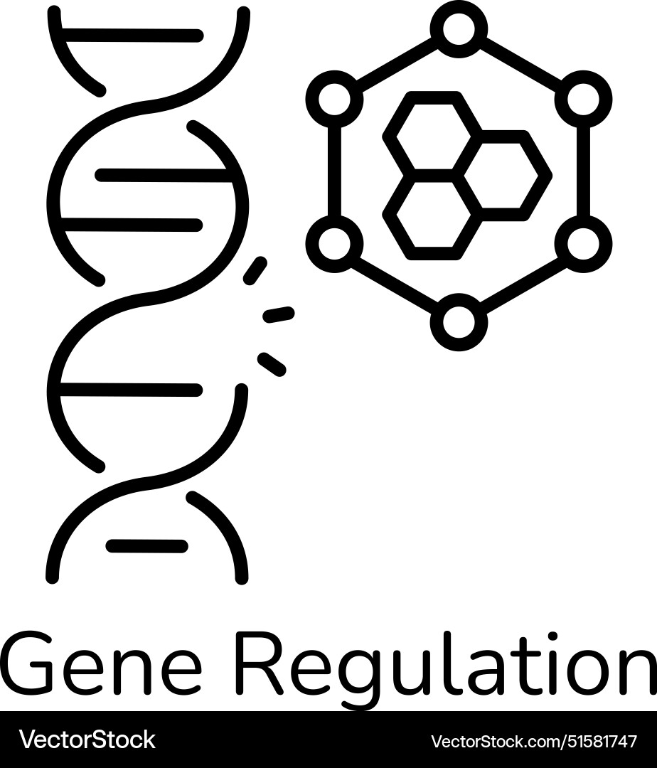 Gene regulation Royalty Free Vector Image - VectorStock