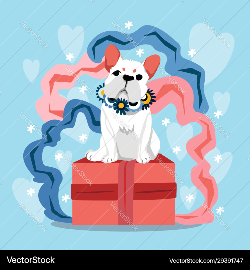Happy valentines day with cute french bulldog Vector Image