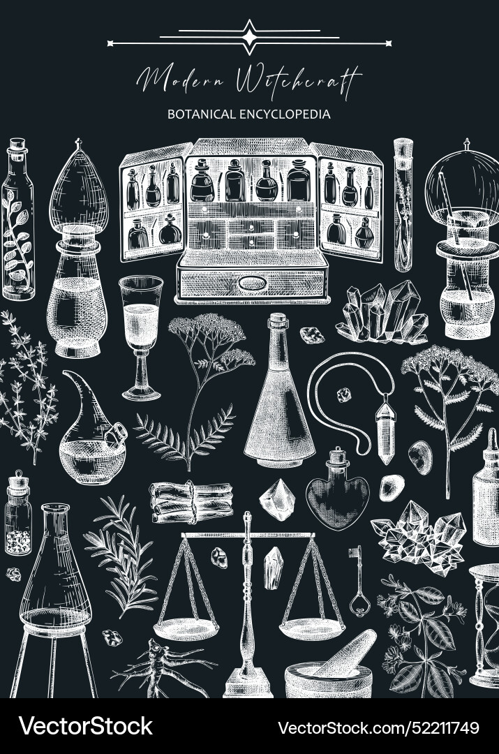 Antique apothecary frame hand-drawn alche Vector Image