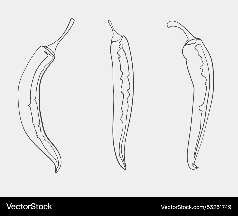 Chili pepper outline trio drawing Royalty Free Vector Image