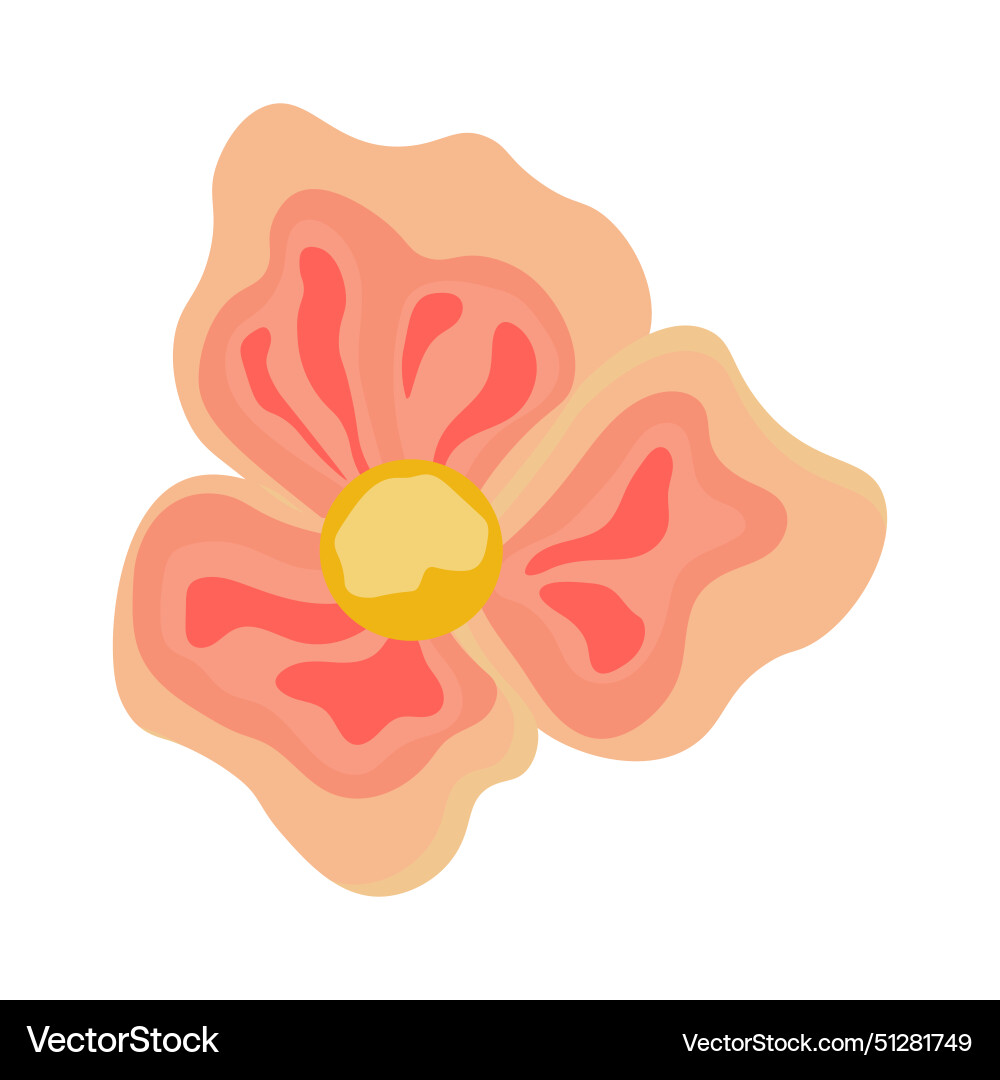 Pink flower head isolated Royalty Free Vector Image