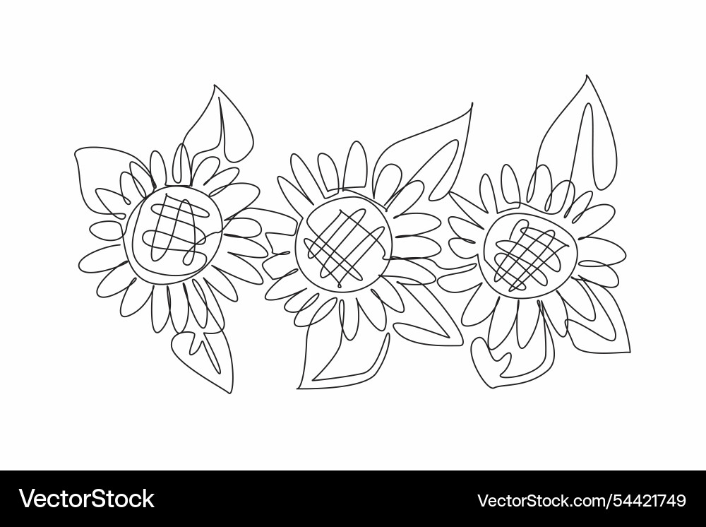 Single continuous line drawing some sunflowers Vector Image