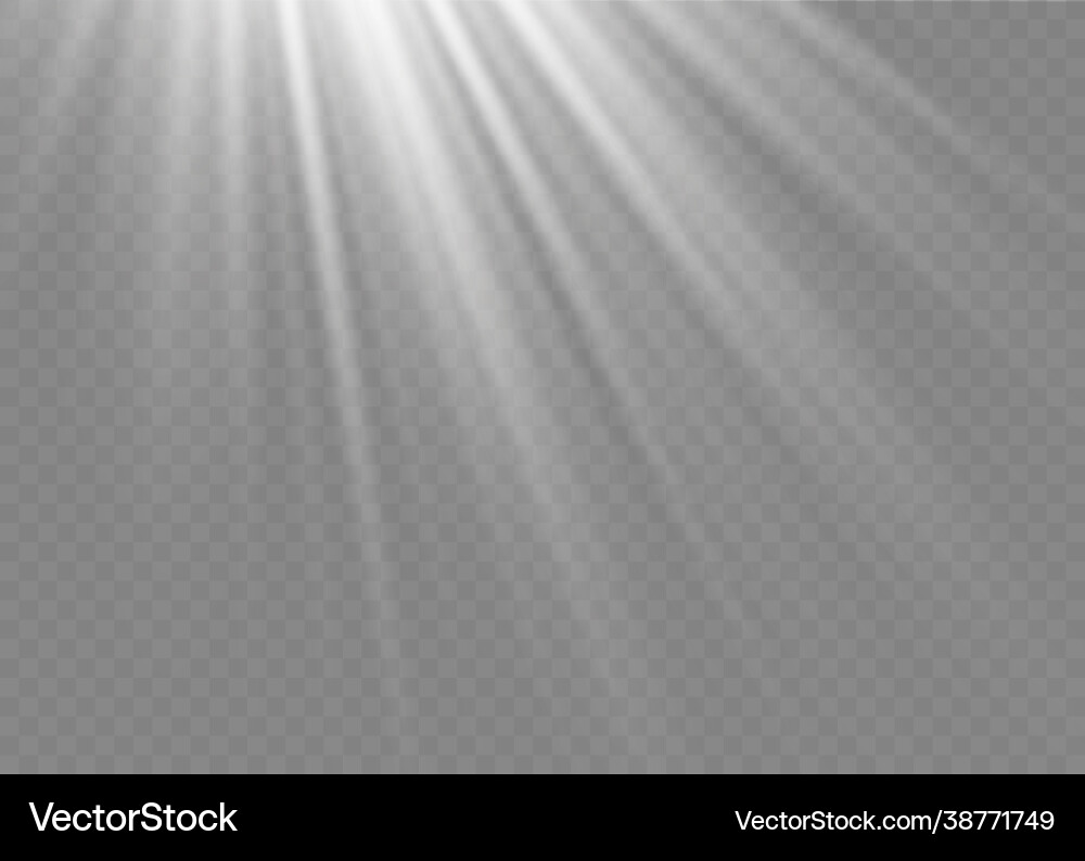 Sunlight lens flash light effect sun rays Vector Image