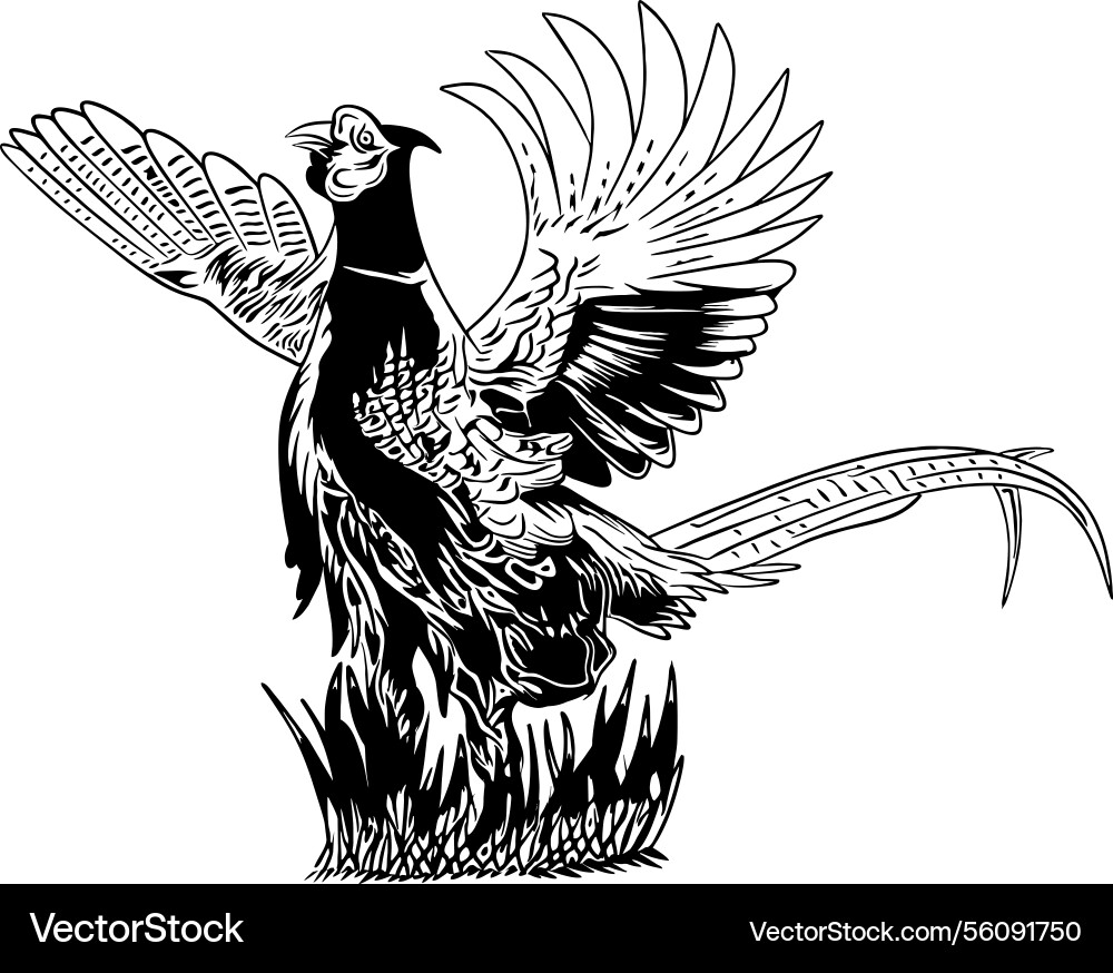 Pheasant hunting logo image t Royalty Free Vector Image