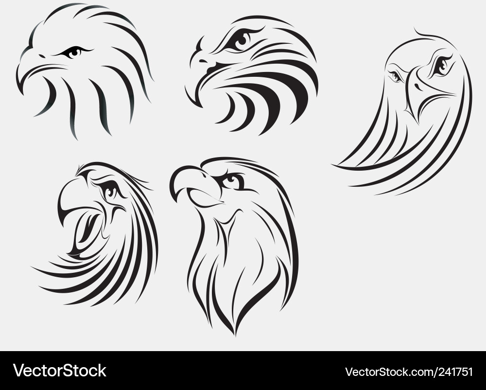Eagle Collection Royalty Free Vector Image - VectorStock