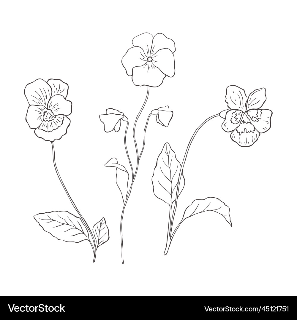 Linie Kunst violett Geburt Monat Blume Lizenzfreier Vektor