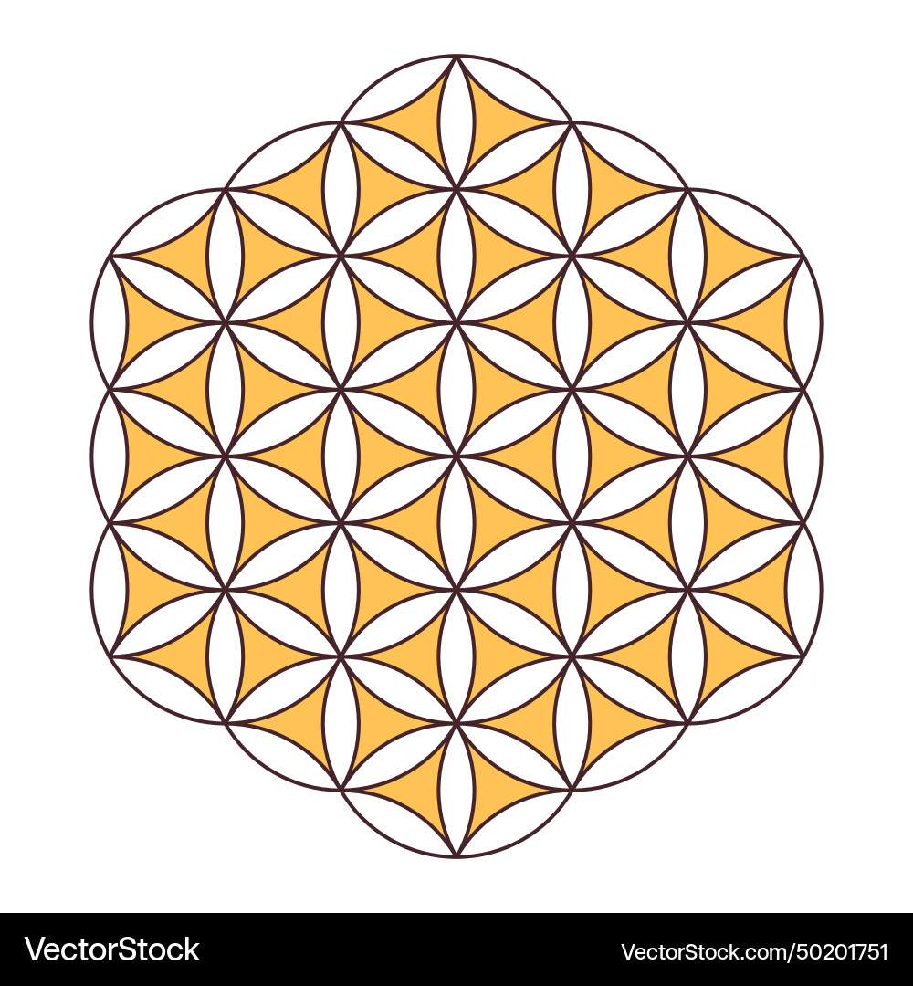 Sacred geometry design element Royalty Free Vector Image