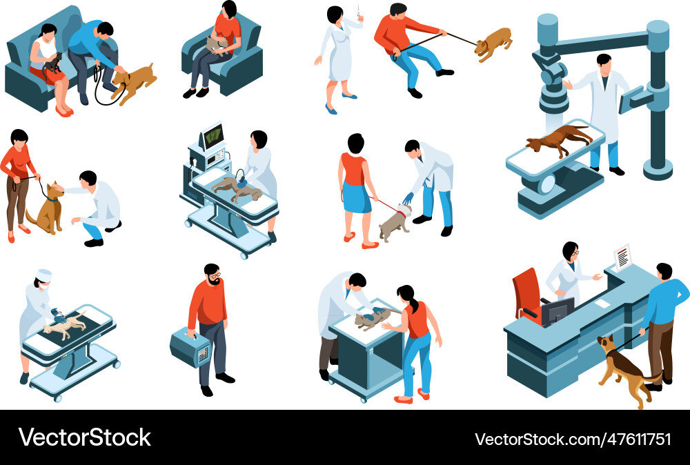 Veterinary isometric set Royalty Free Vector Image