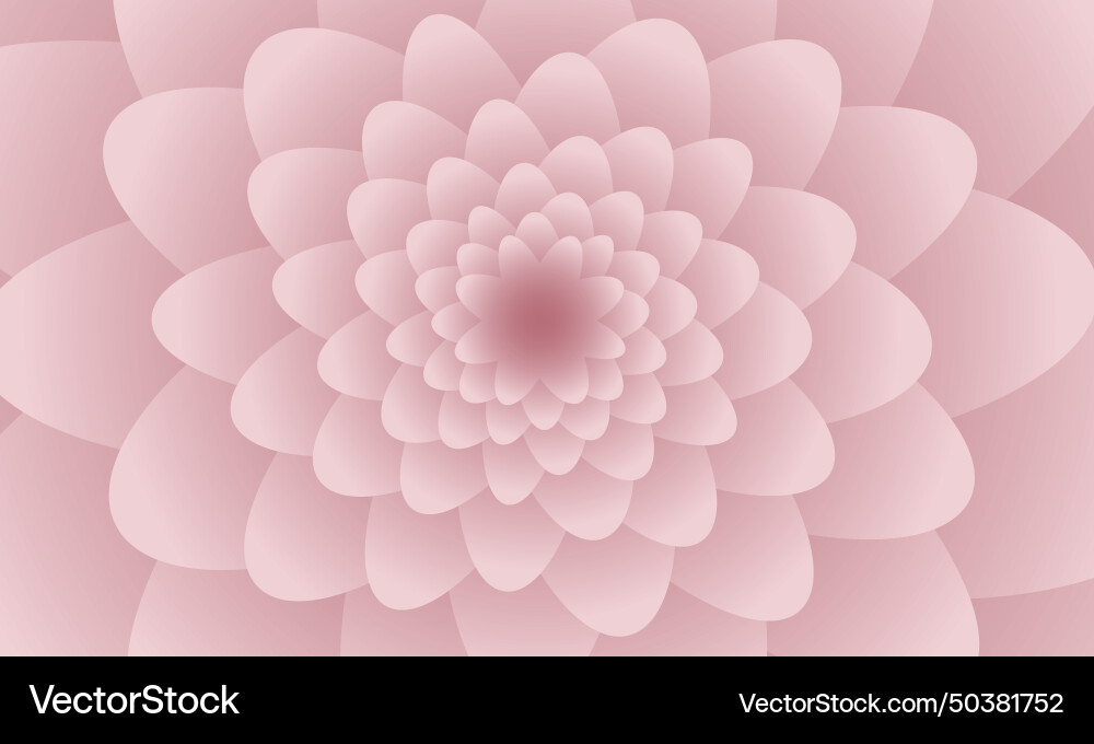 Pink rose abstract background wallpaper design Vector Image