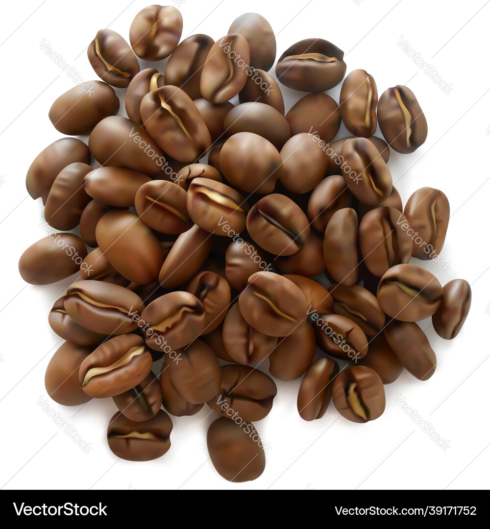 Roasted coffee beans Royalty Free Vector Image