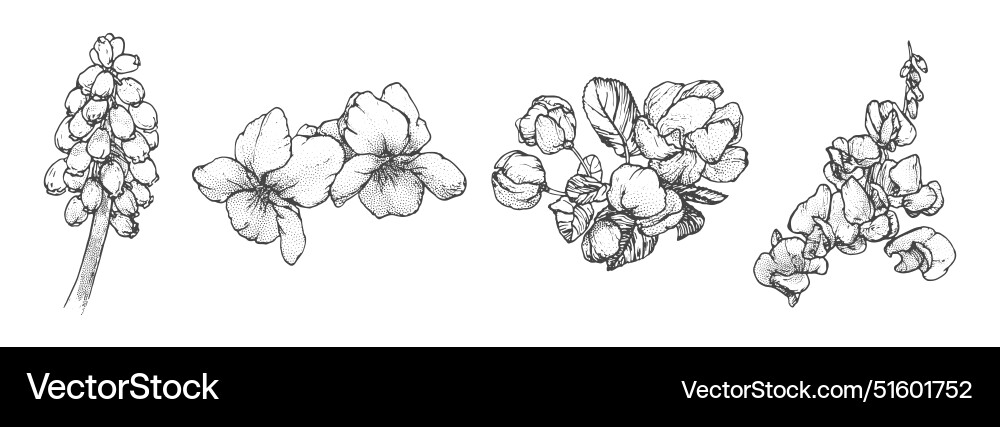 Spring flowers drawing with line art on white Vector Image