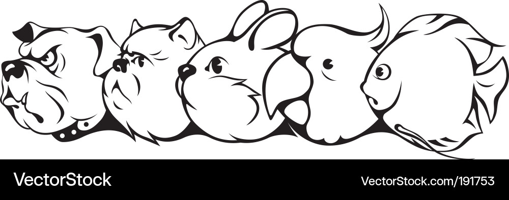 Cute Pet Collection Royalty Free Vector Image - VectorStock