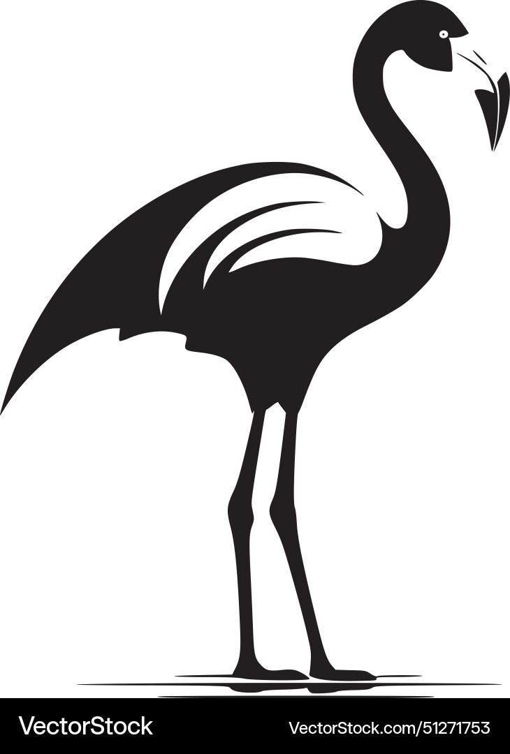 Flamingo - black and white isolated icon Vector Image