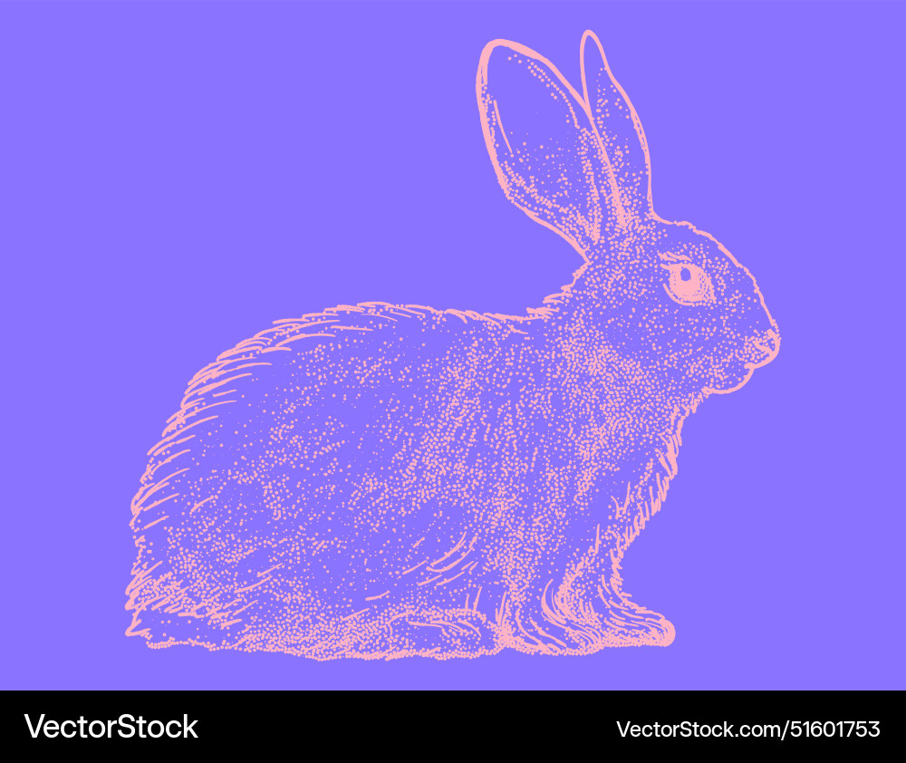 Hand drawn sketch rabbit for your design Vector Image