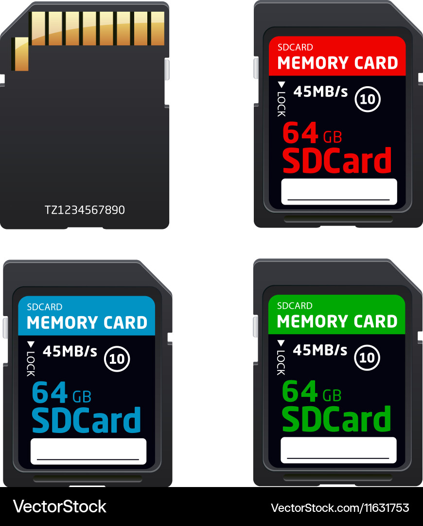 Memory sd card for various devices Royalty Free Vector Image