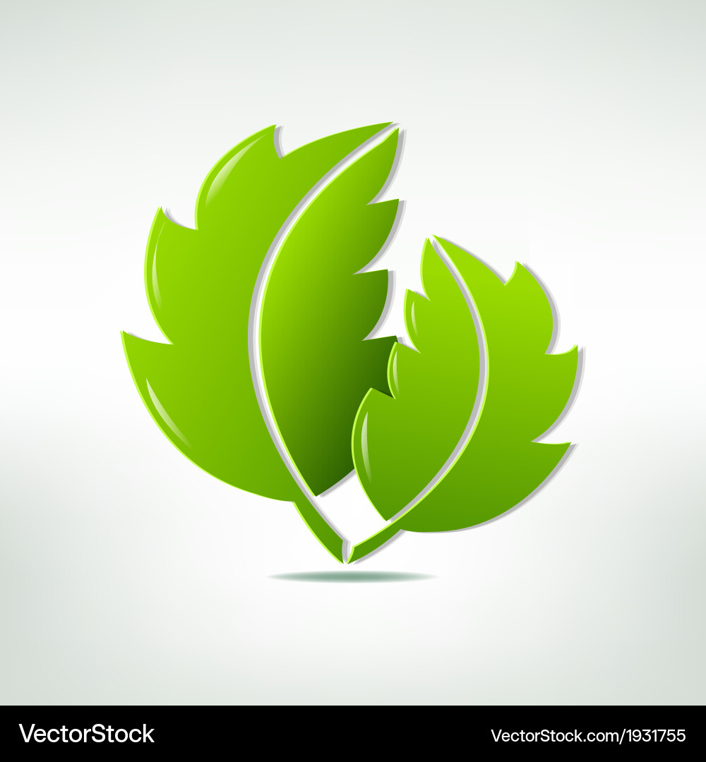 Leaf symbol Royalty Free Vector Image - VectorStock