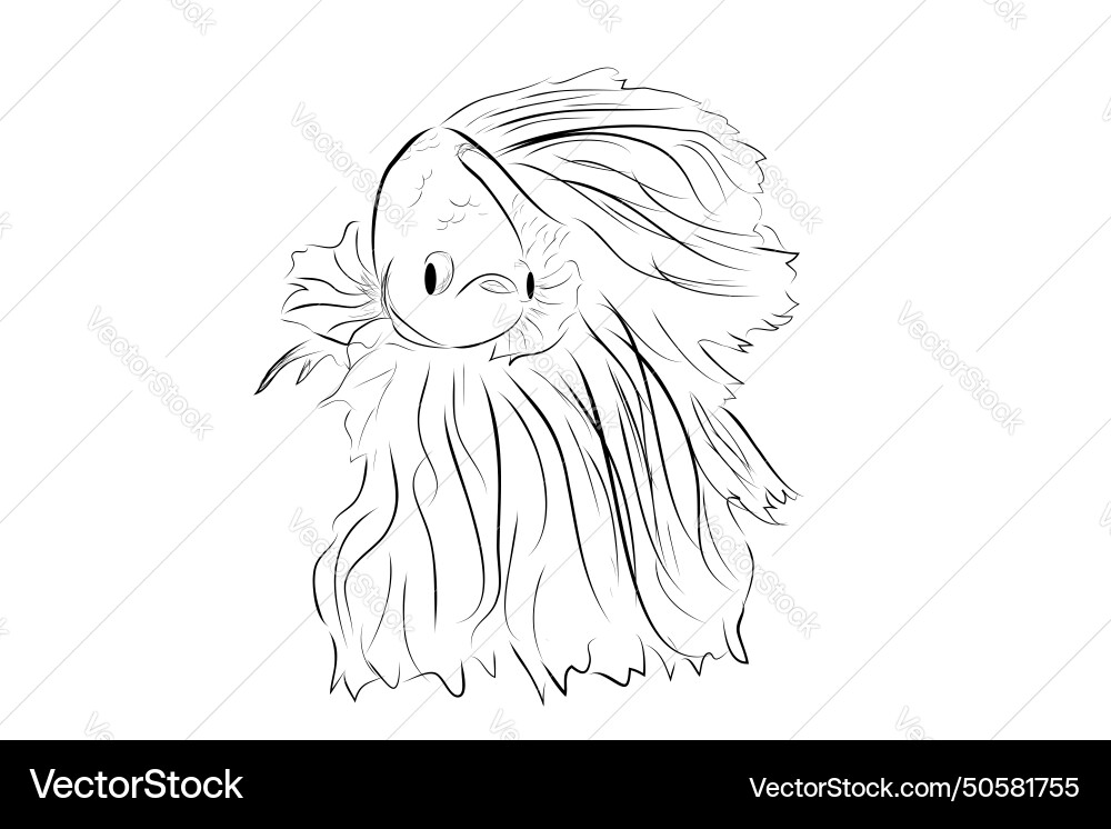 Simple outline betta or siamese fighting fish Vector Image