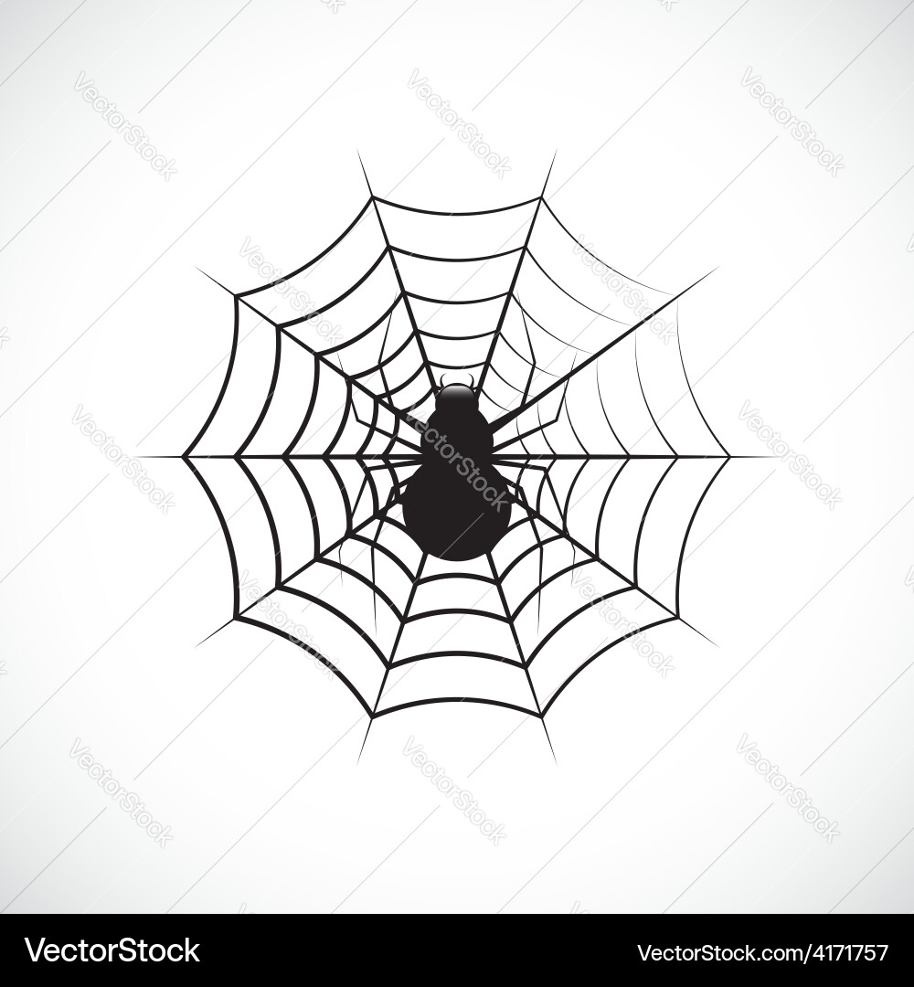 Spiders and web Royalty Free Vector Image - VectorStock